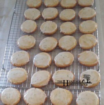Cornmeal Lime Cookies - The Heritage Homesteader
